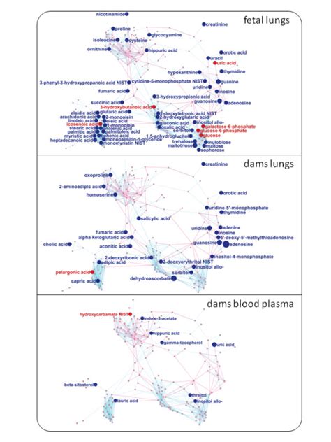 Metamapp Visualization Of Metabolomic Data Highlighting The Download Scientific Diagram