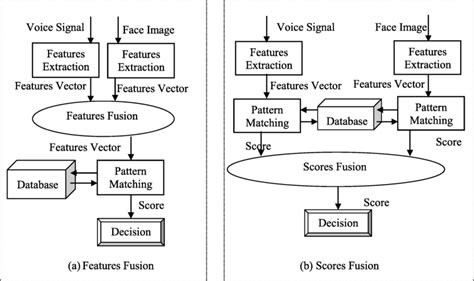 Block Diagram Of Featurescore Fusion Multimodal Biometric Scheme Download Scientific Diagram