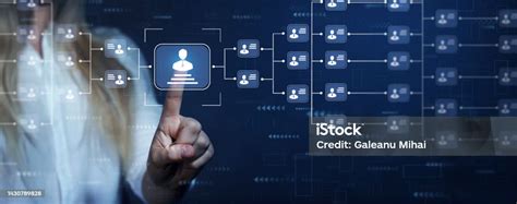 비즈니스 프로세스 및 흐름도를 통한 워크플로 자동화 비즈니스 계층 구조 가상 화면 마인드맵 또는 Organigram회원 간의