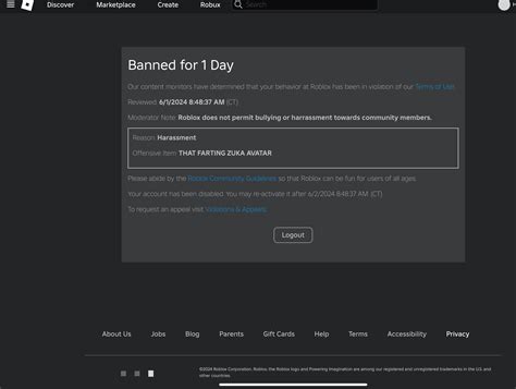 This Was An Actual Reason Why My Friend Got Banned Rphightingroblox