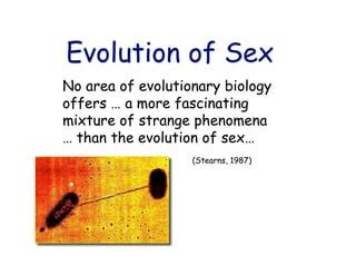 Evolution Of Sex Pdf