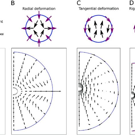 An Analytical Hydrodynamic Calculation Predicts Flows From Surface