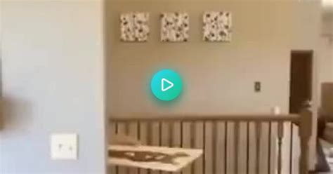 Scooby Doo Album On Imgur