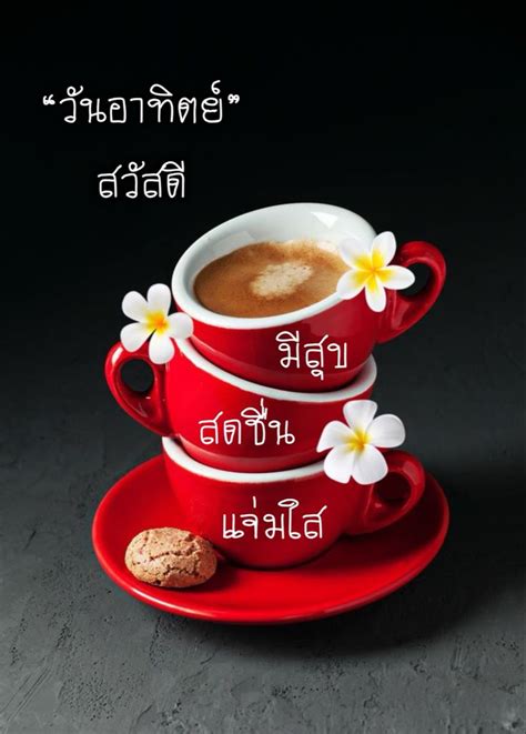 ปักพินโดย Aoy Yuwaree ใน อรุณสวัสดิ์ สุขสันต์วันอาทิตย์ คำอวยพรวันเกิด ราตรีสวัสดิ์