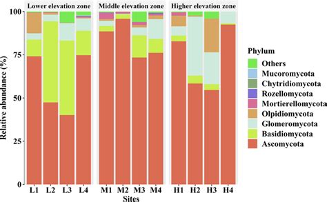 The Taxonomic Composition Of Root Associated Fungal Phyla In The 12 Download Scientific Diagram