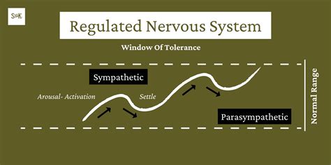 The Window Of Tolerance Regulating The Nervous System Vrogue Co