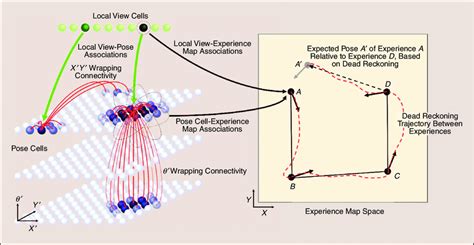 The Ratslam System Each Local View Cell Is Associated With A Distinct