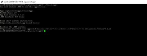 Run A Net Core C Console App On Ubuntu