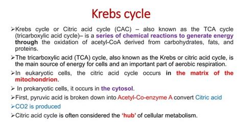 Citric Acid Cycle Krebs Cycle By Atindra Pandey PPT