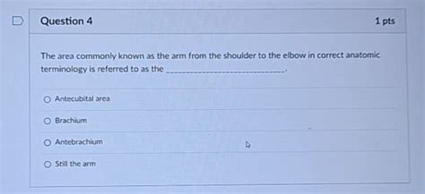 Solved Question 4the Area Commonly Known As The Arm From The