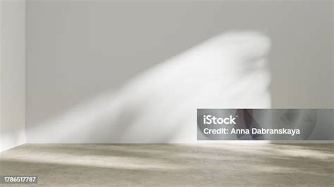 햇빛과 그림자가 있는 텅 빈 추상 스튜디오 룸 인테리어 하얗고 텅 빈 석고 벽과 빈 콘크리트 바닥 디자인 및 광고 및 제품 배치를 위한 공간 빈 공간 룸 모형 0명에 대한