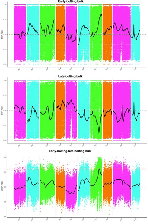 Mapping Breb 1 By The Snp Index Method The Abscissa Represents The Download Scientific Diagram