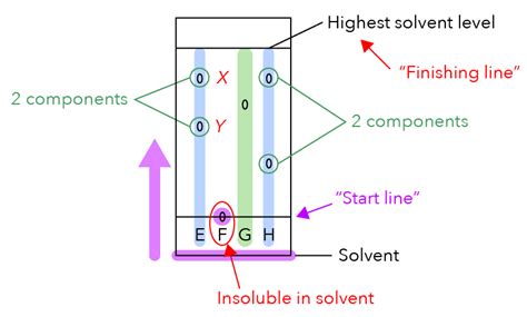 Separation Techniques How To Find Pure Substances Through Chromatography Primary School