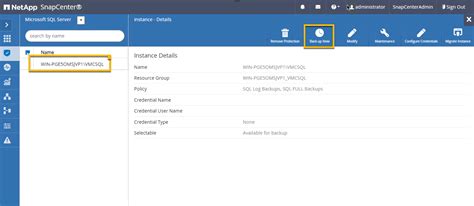Protect Oracle Ms® Sql Workloads Using Netapp Snapcenter In Vmware