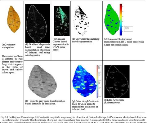 Table 1 From Automatic Dead Zone Detection In 2 D Leaf Image Using Clustering And Segmentation