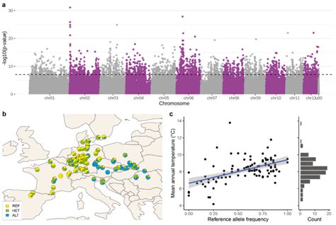 Genotype Environment Associations Reveal Highly Polygenic Architecture
