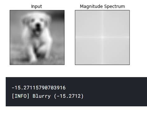 Image Classification Using Cnn Kaggle