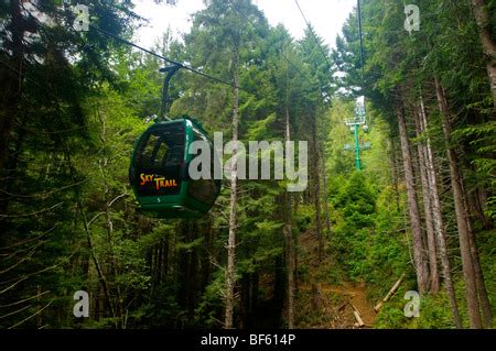 The Sky Trail Gondola Ride Through Redwood Forest Trees Of Mystery