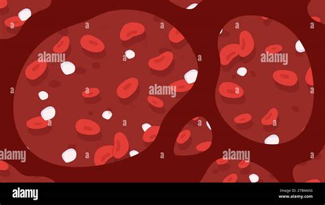 Erythrocyte Leukocyte Platelet Stock Vector Images Alamy
