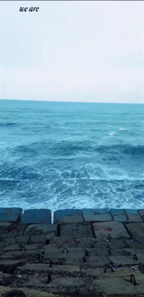 طيز اسود بنت