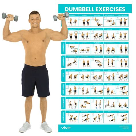 Dumbbell Exercise Chart Printable Free Free Printable