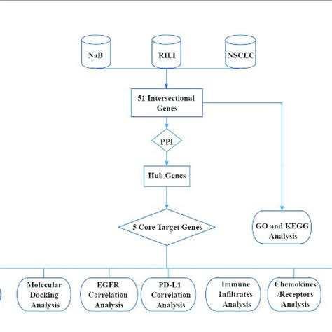 Flowchart Of Bioinformatic Analysis Download Scientific Diagram