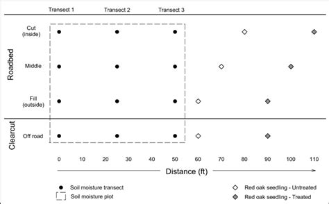 Diagram Of A Soil Moisture Density Plot And Planting Pattern Used On Download Scientific