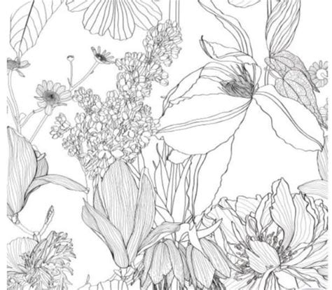 Wylefemtech（wylefemtech）のプロフィール Campfire キャンプファイヤー