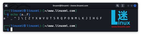 在 bash shell 中使用花括号扩展 linux迷