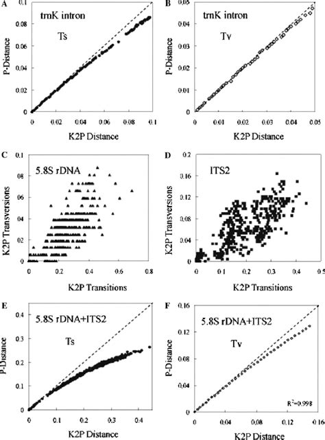 Pairwise Sequence Divergence Among The 28 Sampled Cycads Trnk Intron