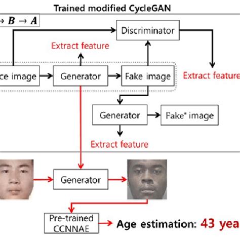 Age Estimation Using Ccnnae Based On The Transformed Image Obtained