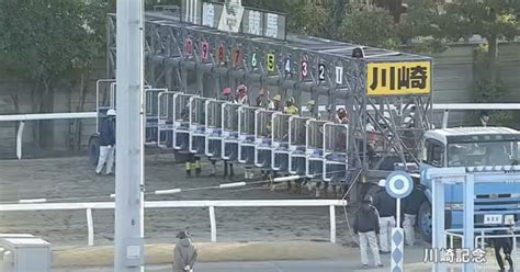 43川崎競馬と闘うnote：11r川崎記念g1パドック後予想｜馬人all The People