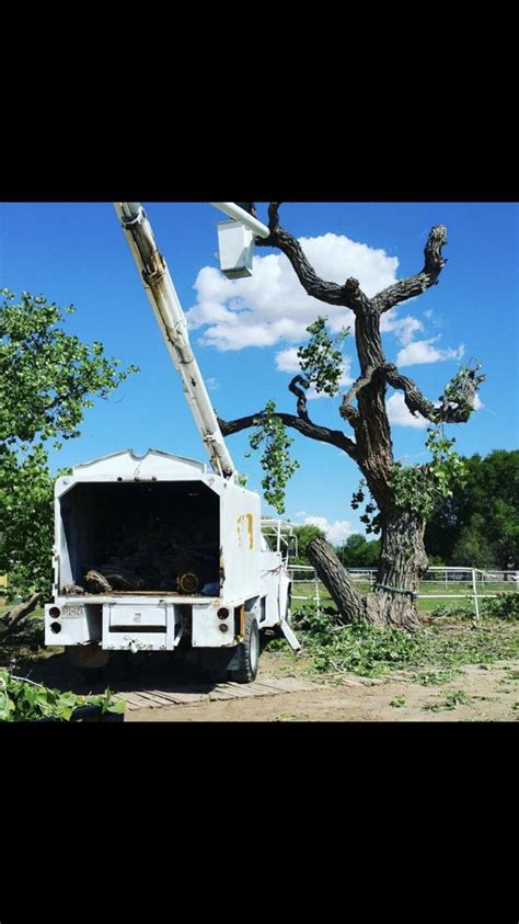 Tree Mitigation Duprees Trees