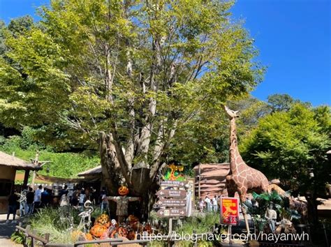 에버랜드 로스트밸리 스페셜투어 Feat 기린 먹이주기 네이버 블로그