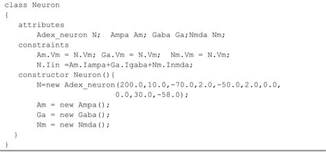 Temporal Constrained Objects For Modelling Neuronal Dynamics Peerj