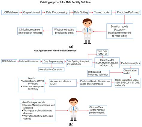 Unboxing Industry Standard Ai Models For Male Fertility Prediction With