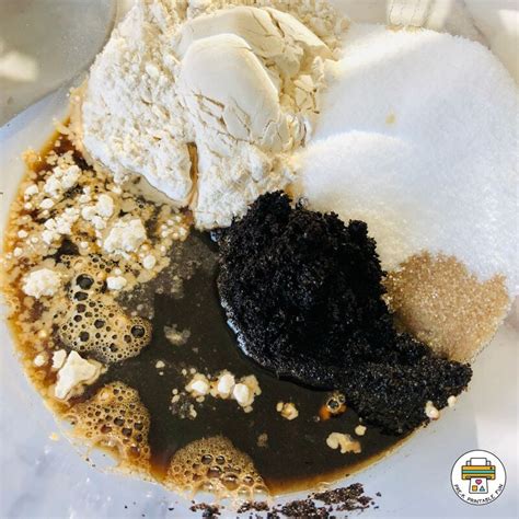 Make Your Own Fossils Pre K Printable Fun