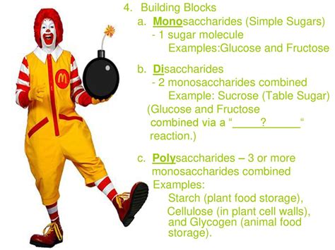 You Are What You Eat Biochemistry Unit Chapter 2 Sections 3 And 4 Ppt