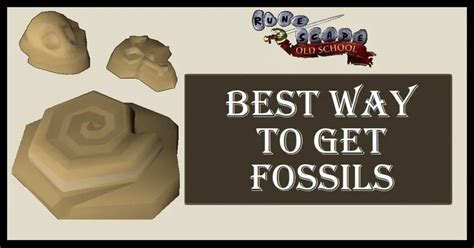 Osrs Best Way To Get Fossils Fast Methods