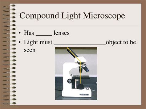 Compound Light Microscope Parts And Functions Ppt Shelly Lighting