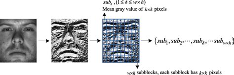 Extraction Process Of The Image Feature Vector Download Scientific Diagram