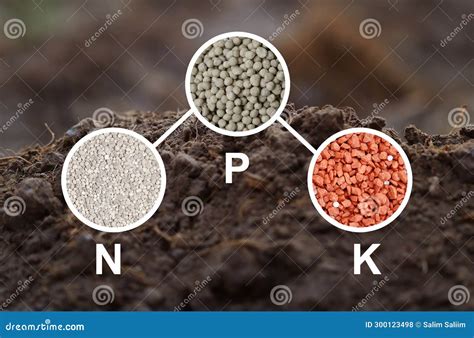 Soil Background With Npk Letter And Icon Digital Nutrients Icon Which
