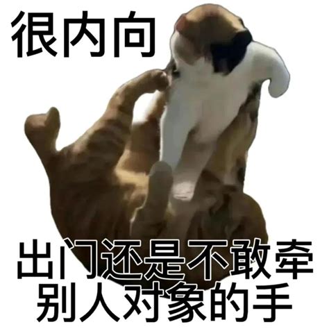 表情包：很内向表情包 知乎