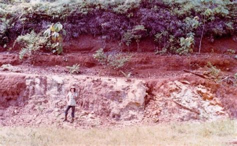 View Of Exposed Weathering Profile Download Scientific Diagram