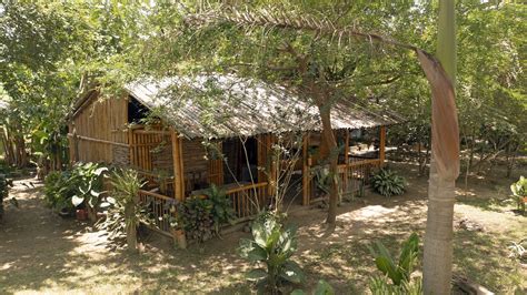 The Osprey Connection Audubon