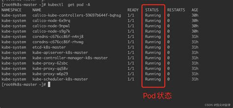 六、kubernetes核心技术pod详解、实例pod实例 Csdn博客