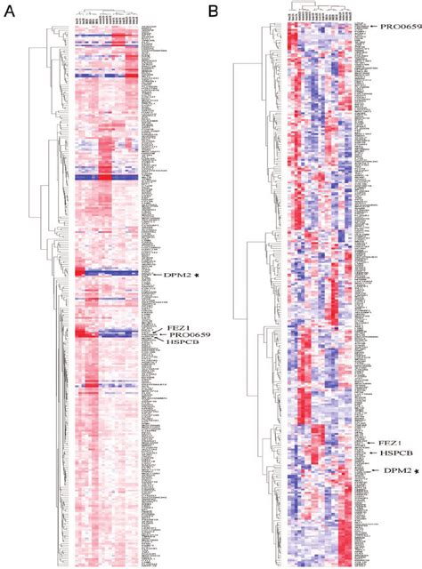 Hierarchical Clustering Of Alternative Splicing For Five Human Tissues