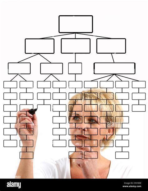 Woman Is Drawing A Mind Map Organize Scheme Organization Structure Stock Photo Alamy
