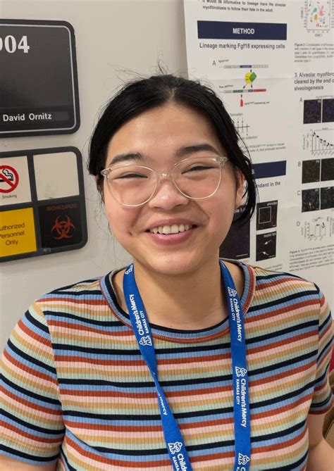 Michelle Phan Ornitz Lab Washington University In St Louis