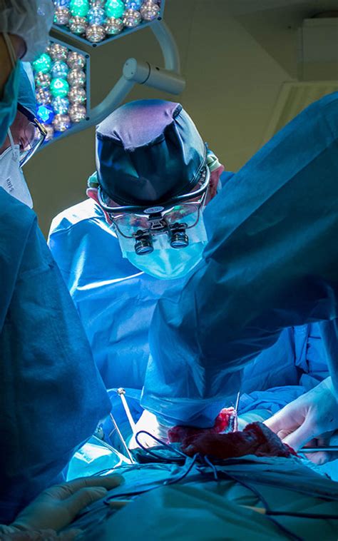 Galería Dr Radovan Sancevic